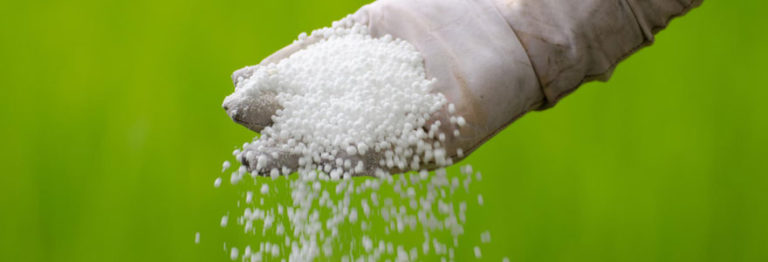 Engrais azoté, produit phare de l’agriculture