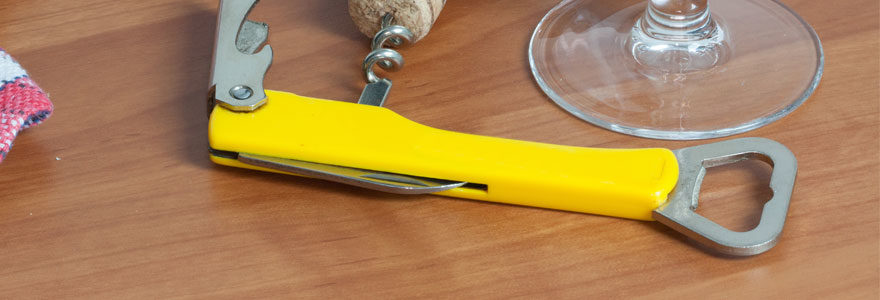 Découvrez le mode d'utilisation d'un limonadier